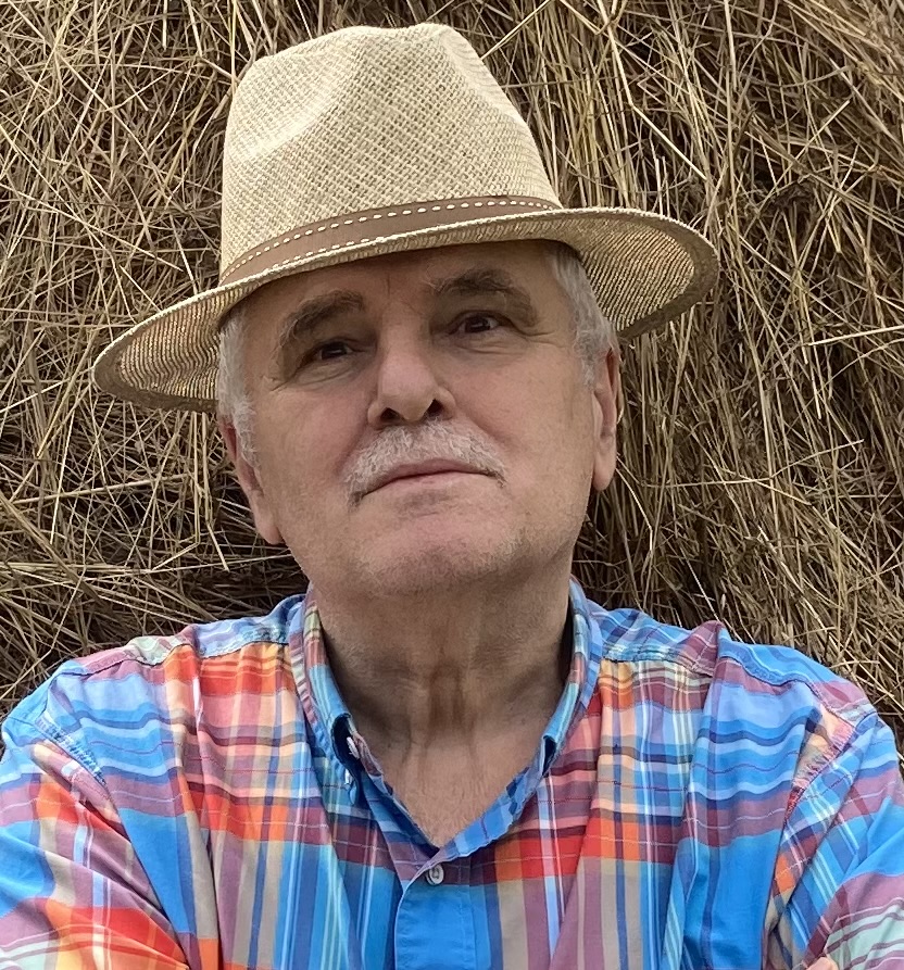 Ștefan Mitroi - Die taubstumme Katze - Filiala București – Traduceri ...